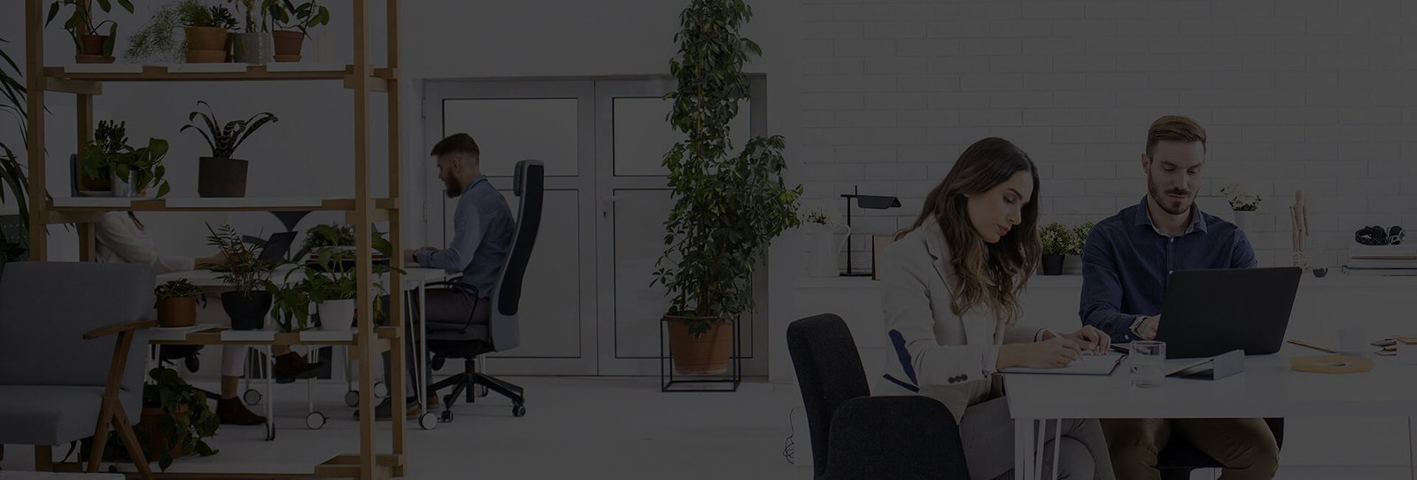 Our Services - serenitysupportcare